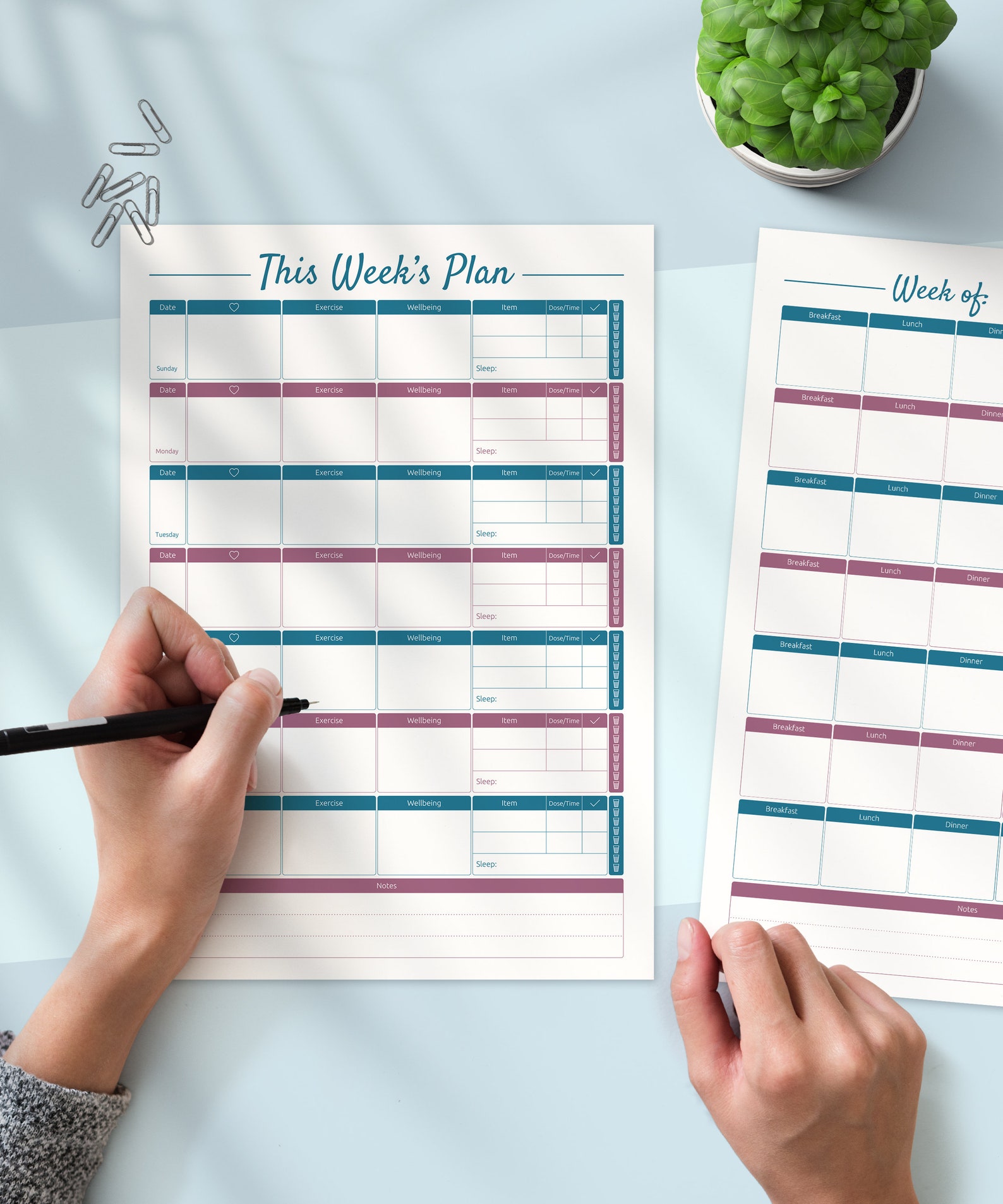 Weekly Fitness & Meal Planner Weekly Workout Planner | Etsy