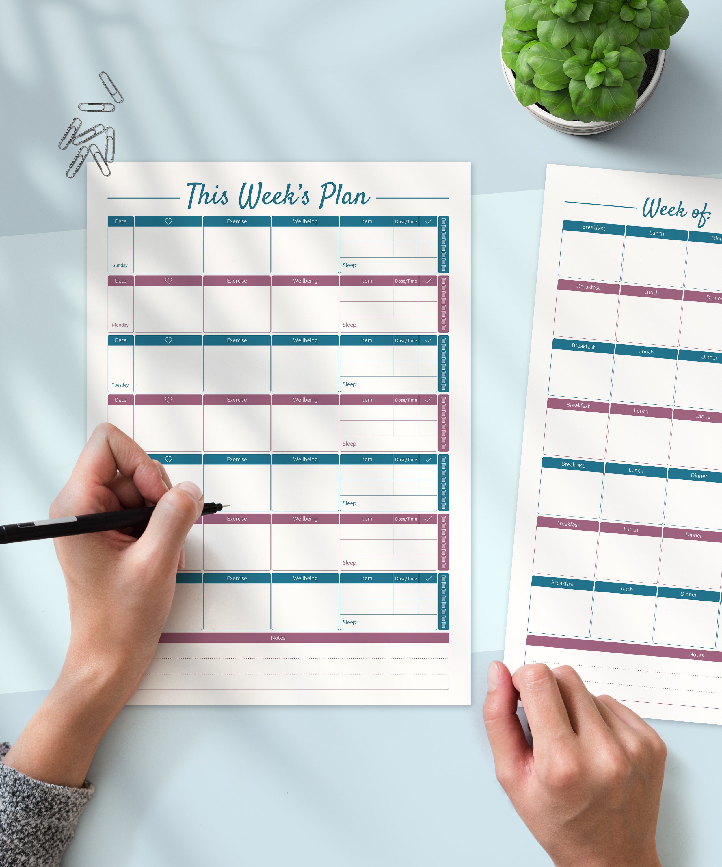 Weekly Fitness & Meal Planner Weekly Workout Planner | Etsy