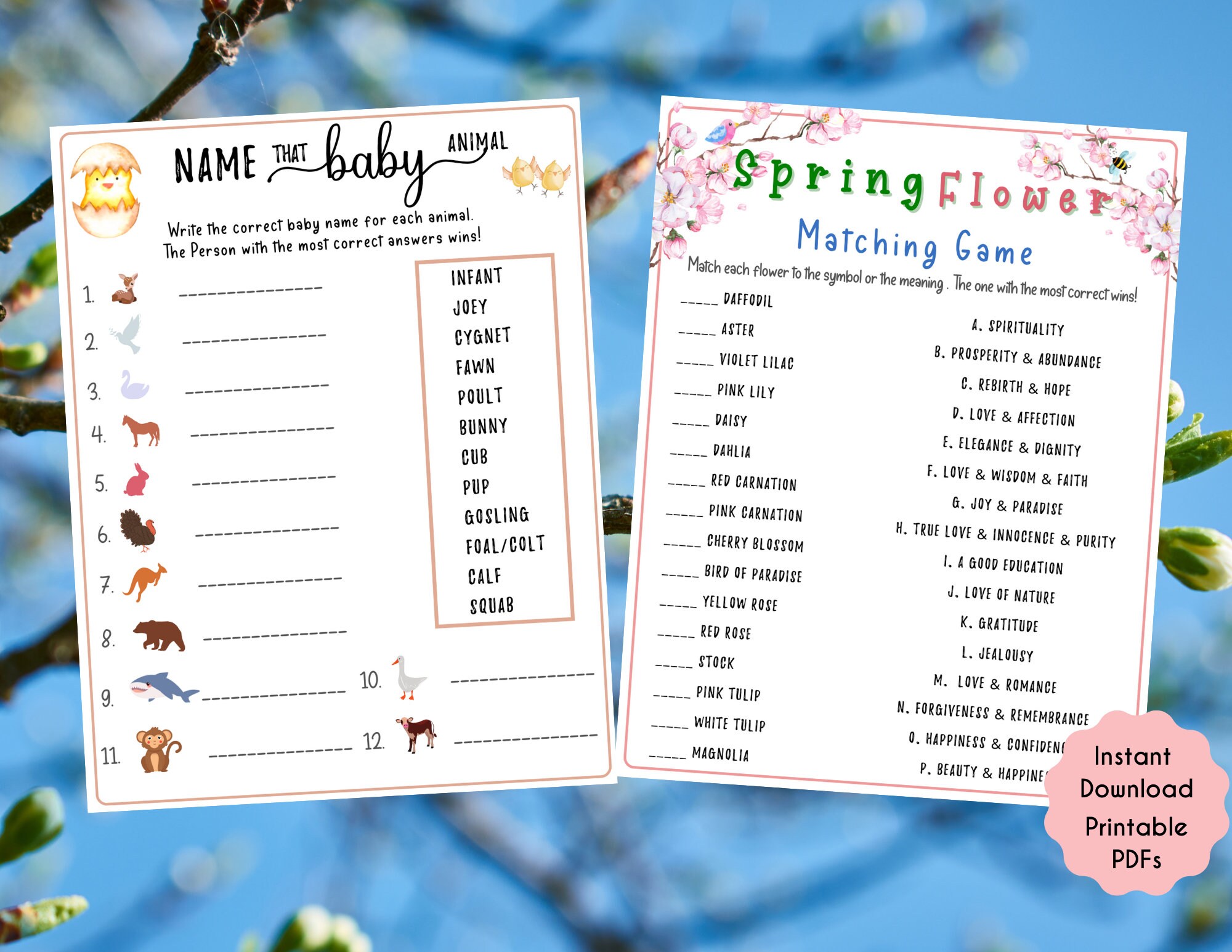 Spring Flower Matching and Name That Baby Printable Game Fun Spring ...