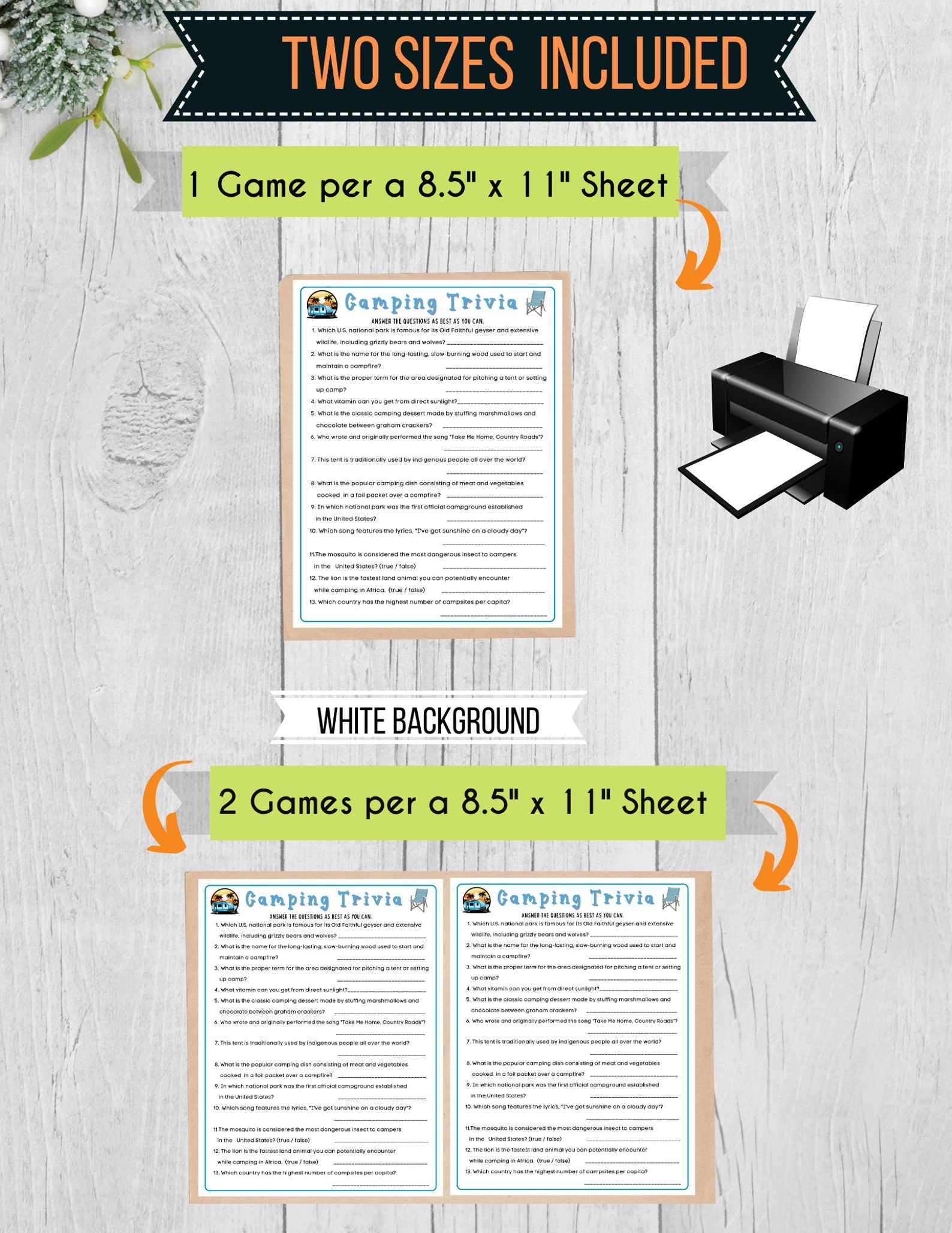 Camping Trivia Game Fun Printable Camping Trivia Game Campsite Game ...