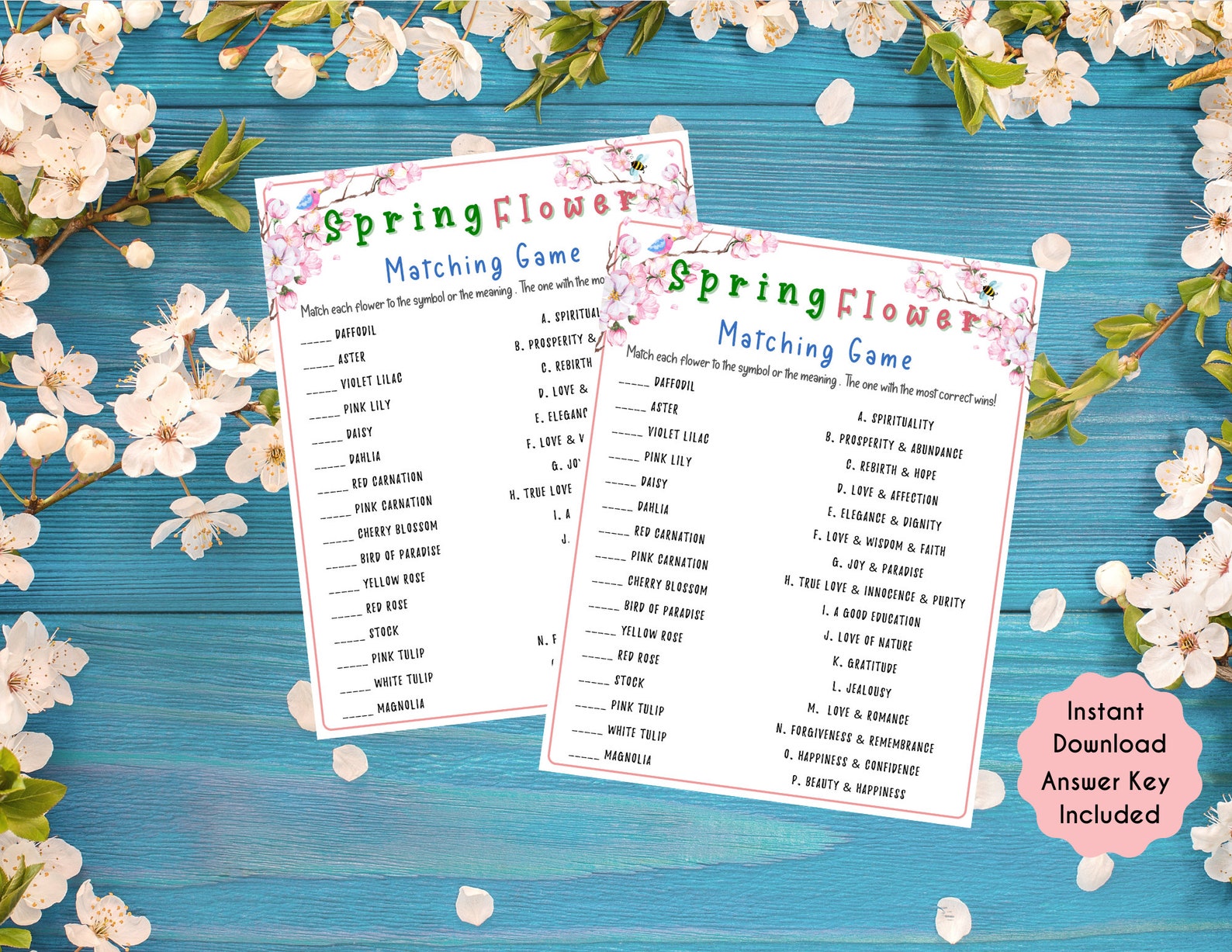 Spring Flower Matching Printable Game Fun Spring Party Games Spring ...