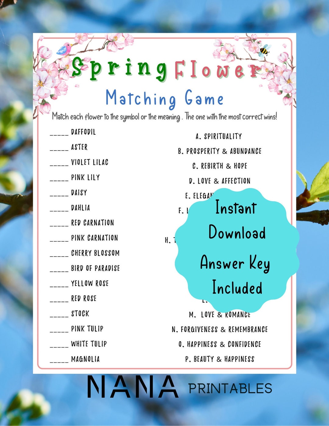 Spring Flower Matching Game: Printable Party Activity (digital Download ...