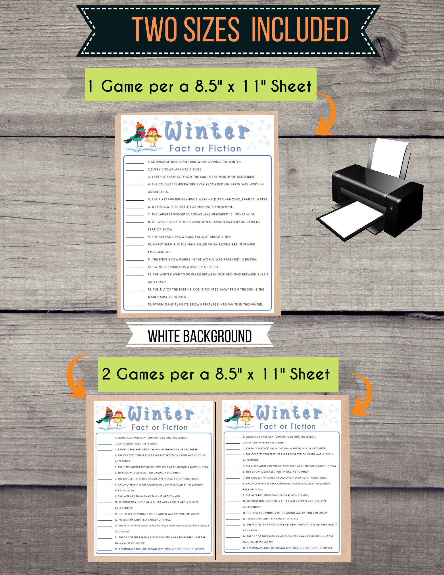 Winter Fact or Fiction Printable Game Winter Office Party Game Winter ...