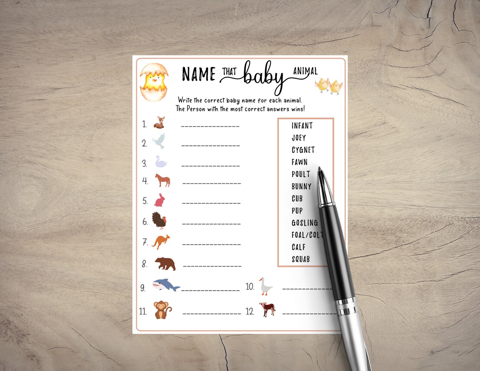 Spring Flower Matching and Name That Baby Printable Game Fun Spring ...