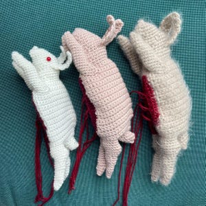 Digital Download Rabbit Dissection Crochet Pattern - Etsy
