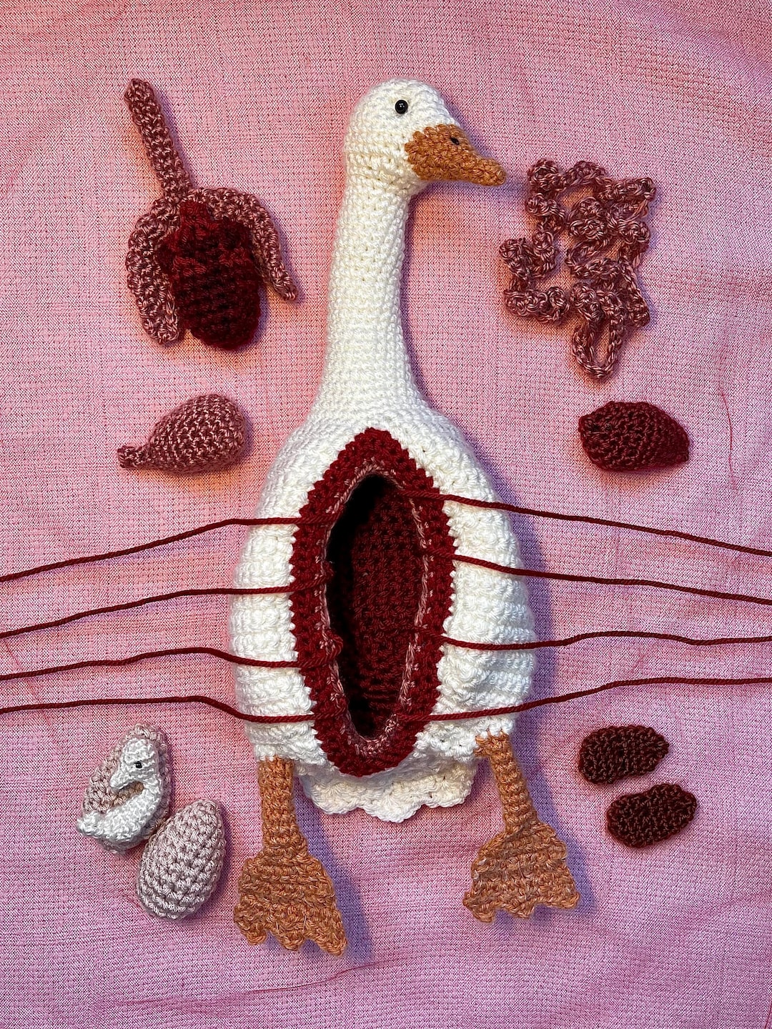 Digital Download Duck Dissection Crochet Pattern - Etsy