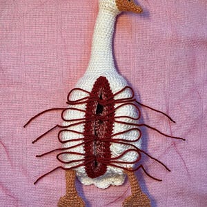 Digital Download Duck Dissection Crochet Pattern - Etsy