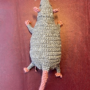 Digital Download Rat Dissection Crochet Pattern - Etsy
