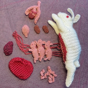Digital Download Rabbit Dissection Crochet Pattern - Etsy