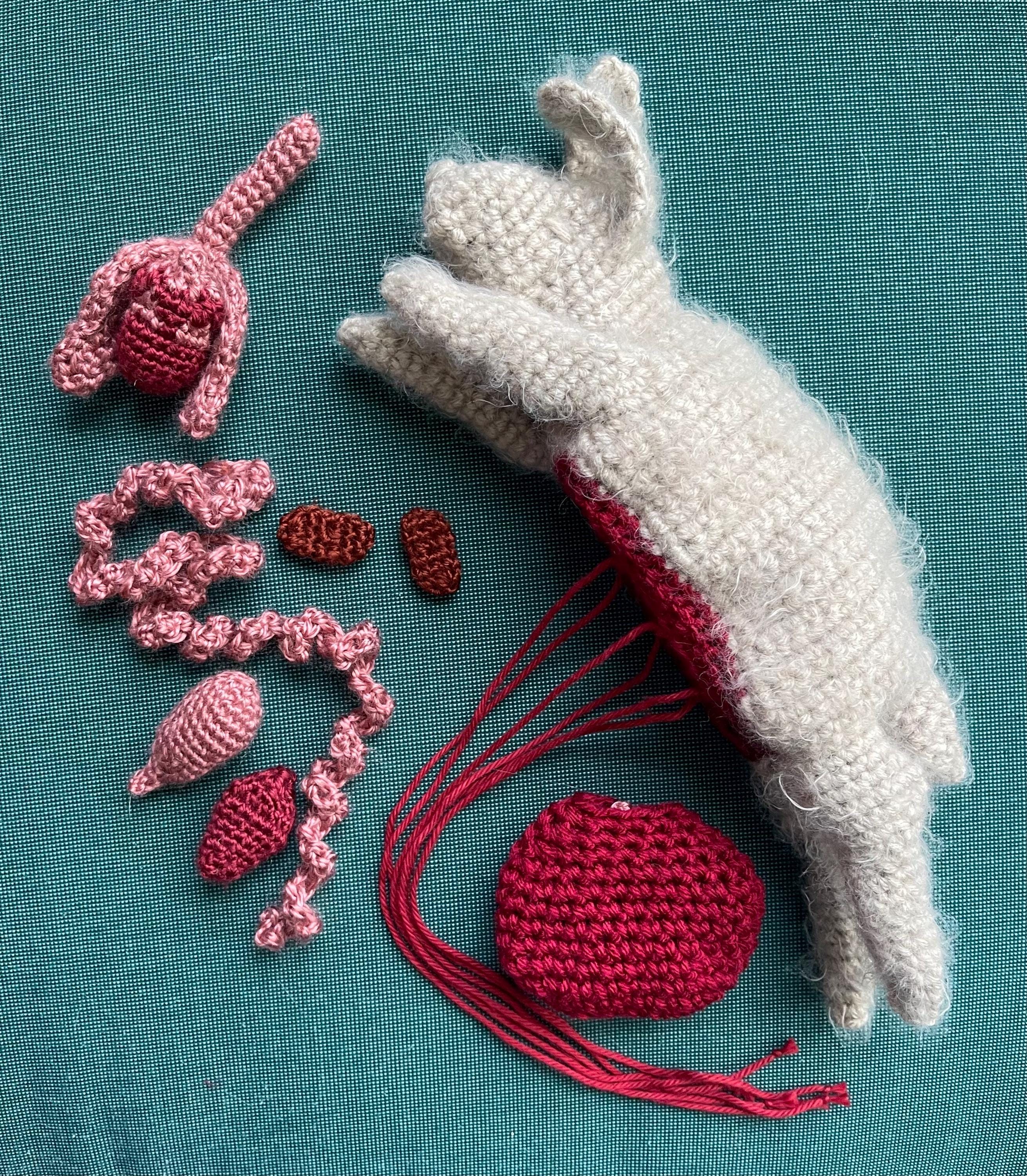 Digital Download Rabbit Dissection Crochet Pattern - Etsy