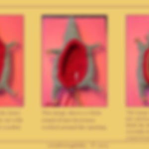 Digital Download Rat Dissection Crochet Pattern - Etsy