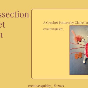 Digital Download Rat Dissection Crochet Pattern - Etsy