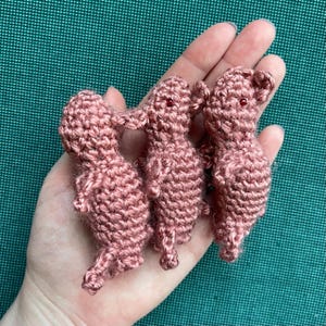 Digital Download Rabbit Dissection Crochet Pattern - Etsy