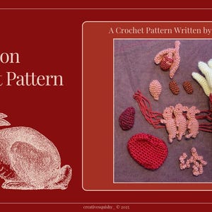 Digital Download Rabbit Dissection Crochet Pattern - Etsy