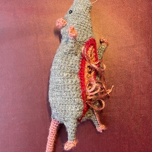 Digital Download Rat Dissection Crochet Pattern - Etsy
