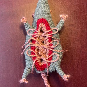 Digital Download Rat Dissection Crochet Pattern - Etsy