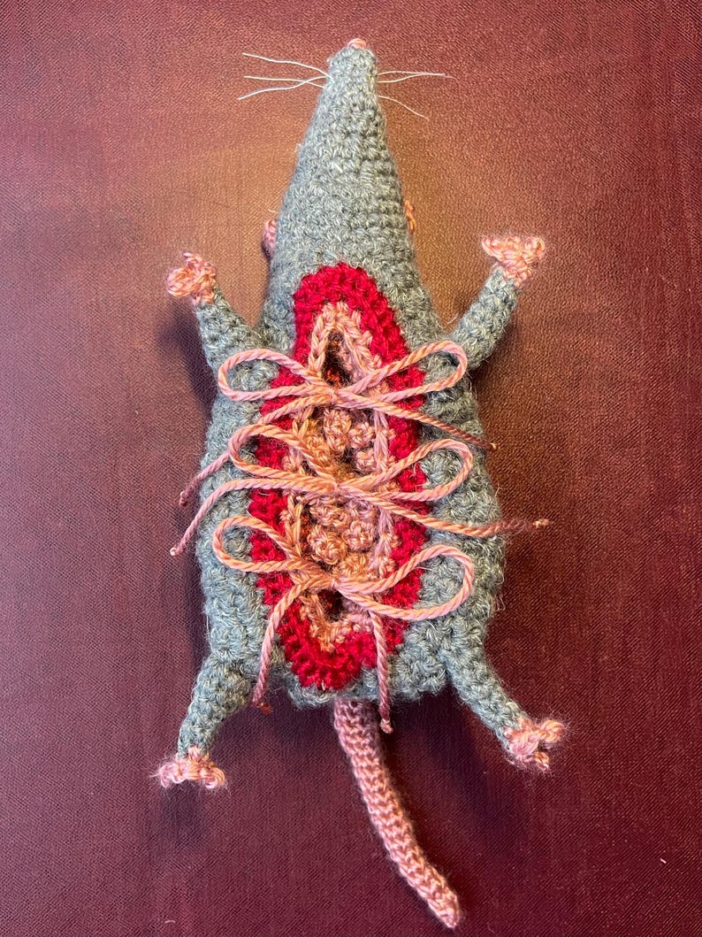Digital Download Rat Dissection Crochet Pattern - Etsy
