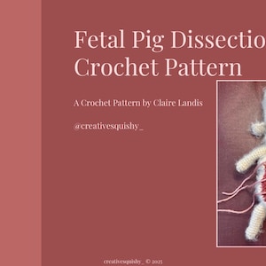Digital Download Fetal Pig Dissection Crochet Pattern - Etsy