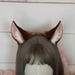 ZZZ Zenless Zone Zero Hoshimi Miyabi Cosplay Ears - Black Gray Fox Ears ...