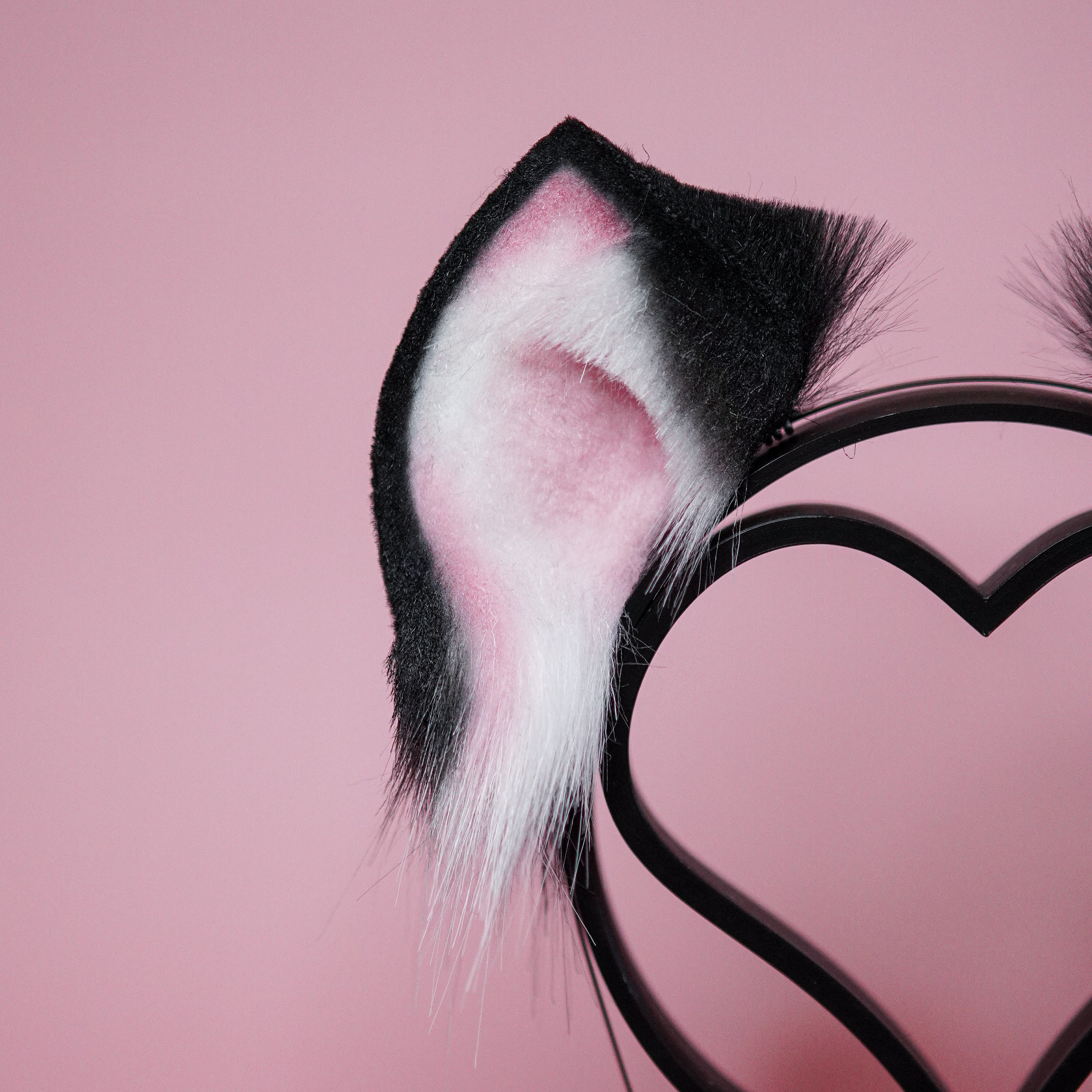 Cat Ears Kitty Ears Faux Fur Ears in Black Animal Ears - Etsy