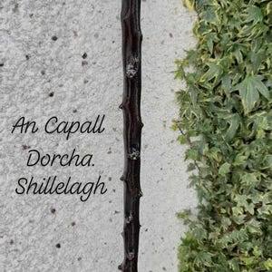 Irish Custom Made Blackthorn Walking Sticks. - Etsy