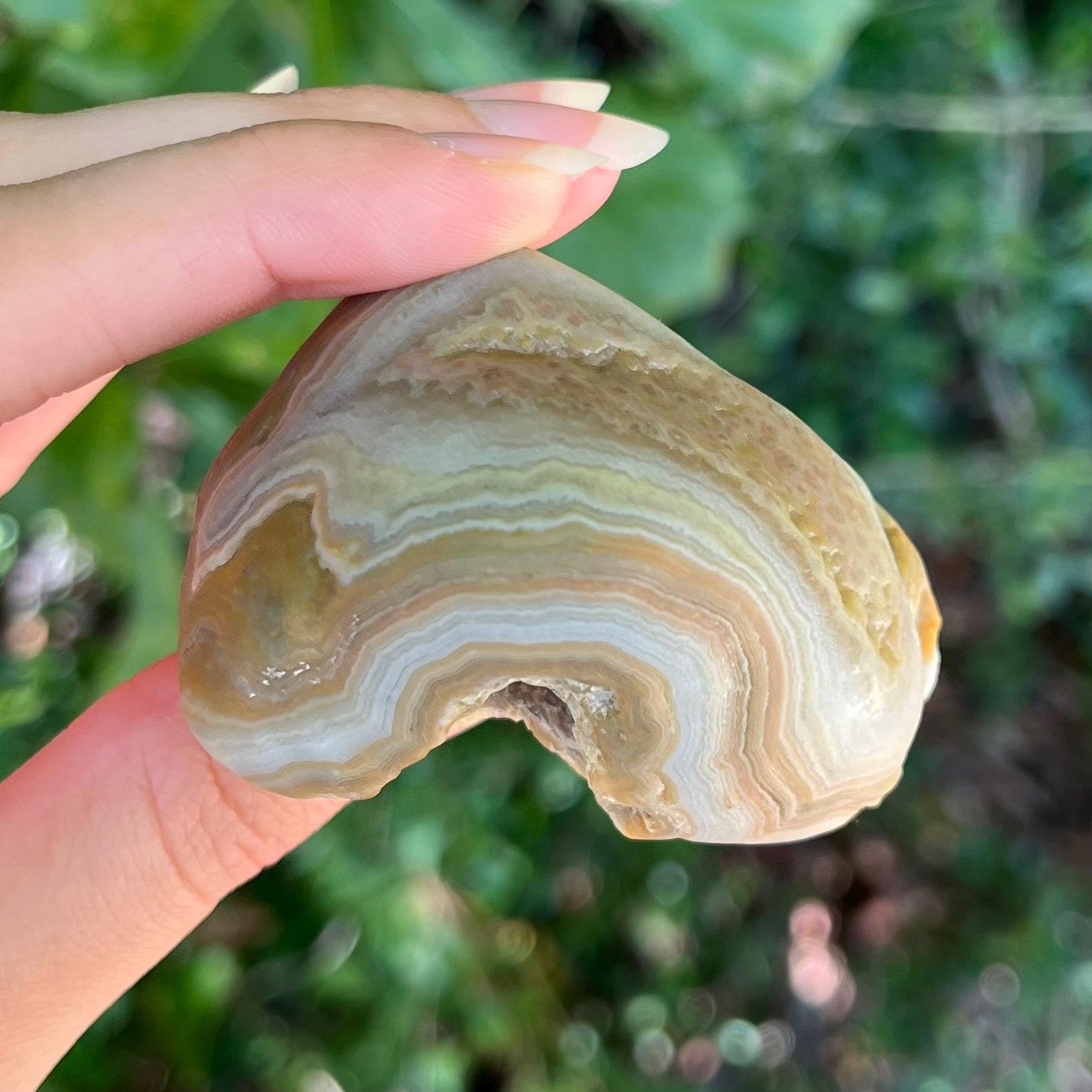 Crowley Ridge Agate - Etsy