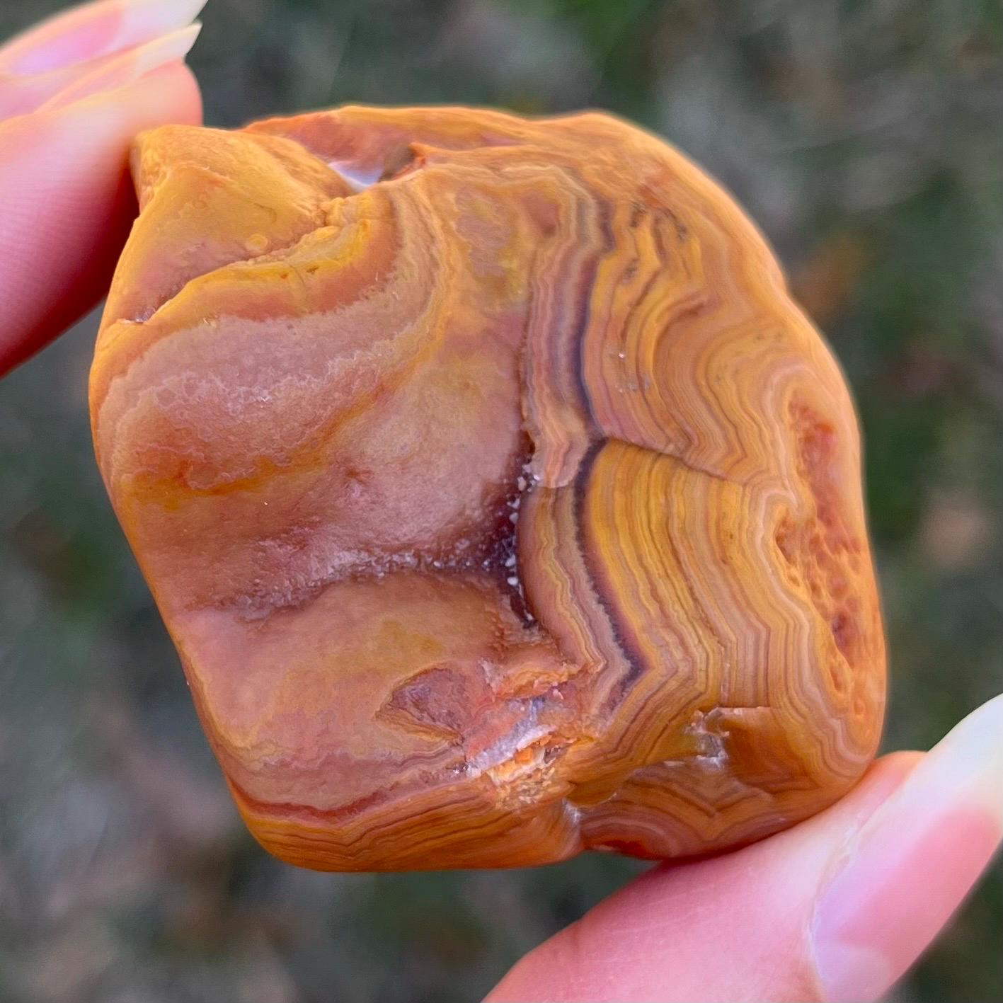 Crowley Ridge Agate - Etsy