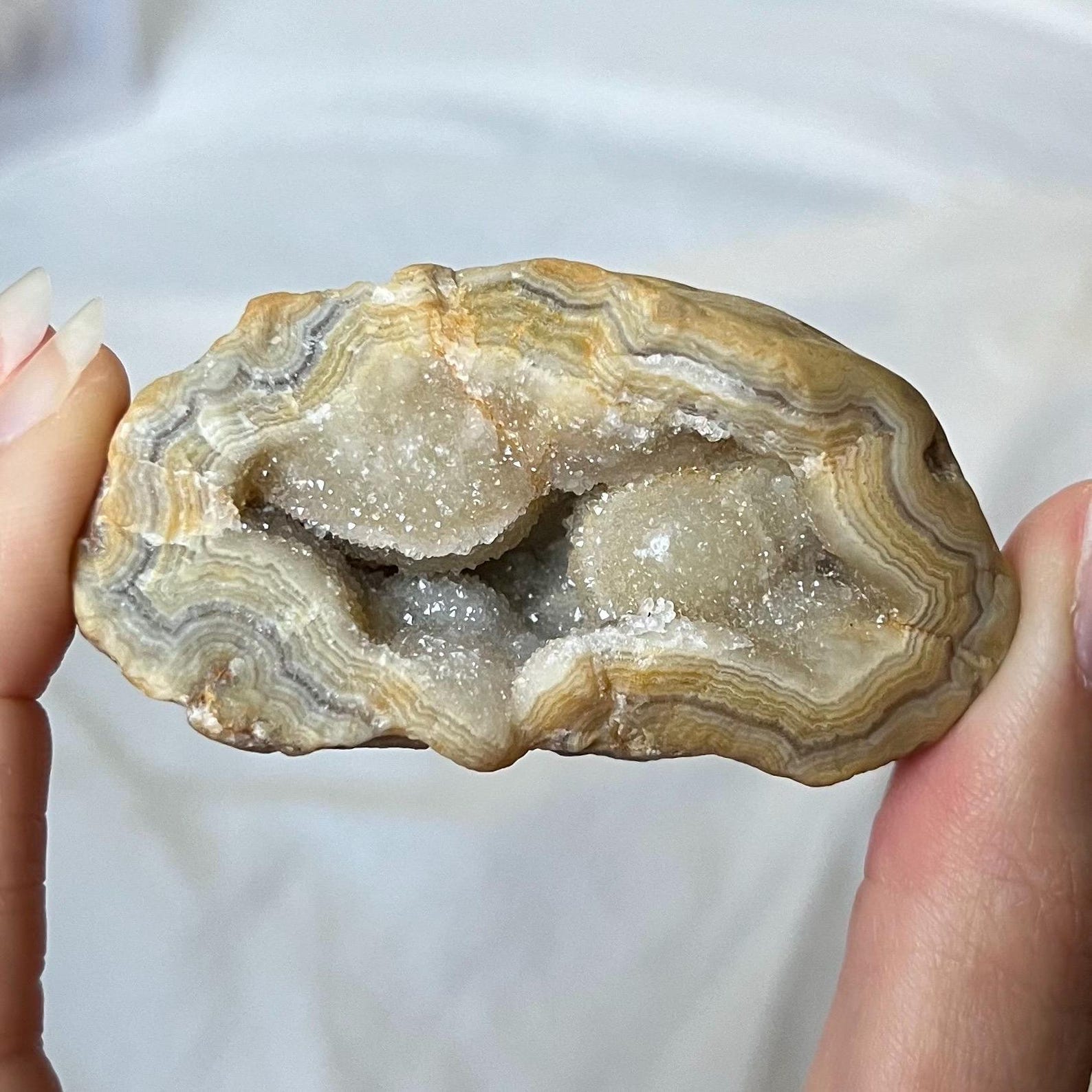 Crowley Ridge Agate Geode - Etsy