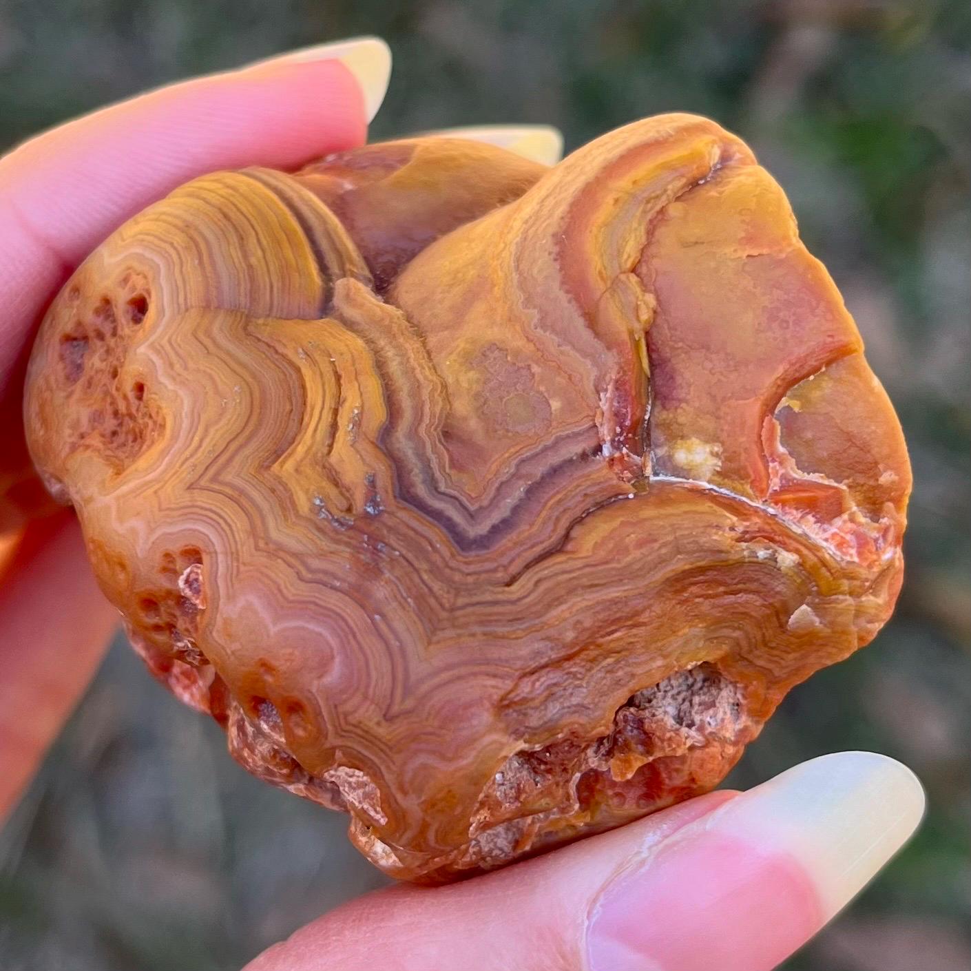Crowley Ridge Agate - Etsy