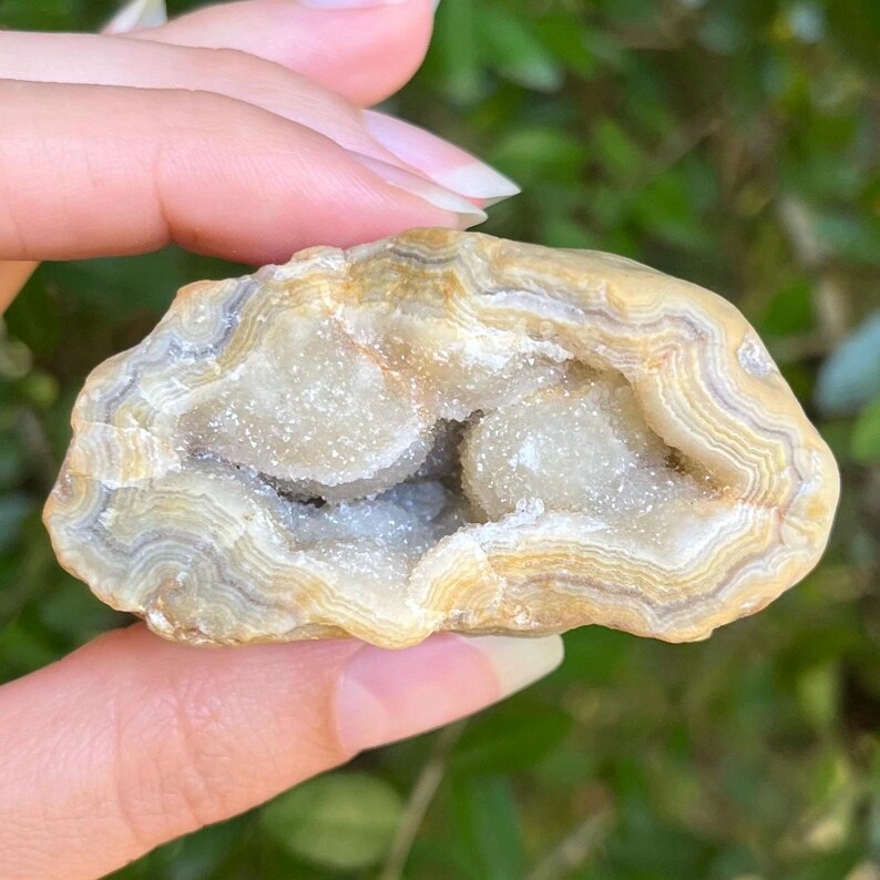 Crowley Ridge Agate Geode - Etsy