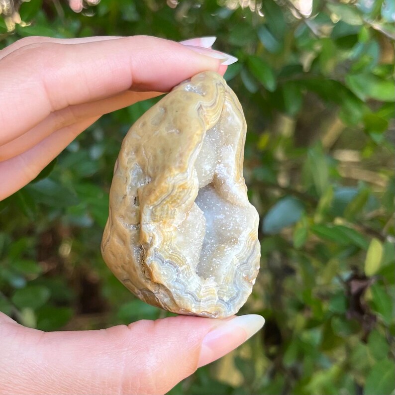 Crowley Ridge Agate Geode - Etsy