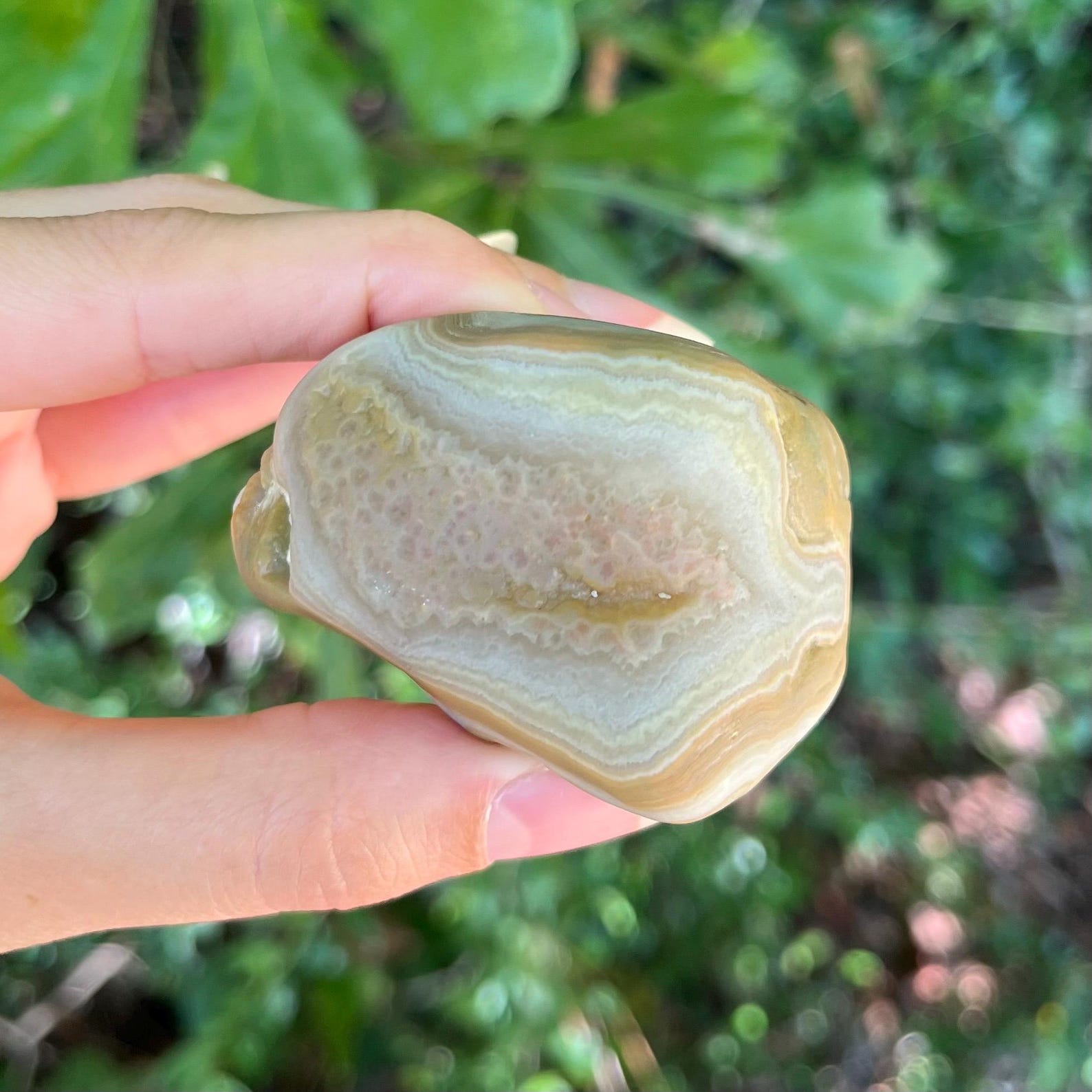 Crowley Ridge Agate - Etsy