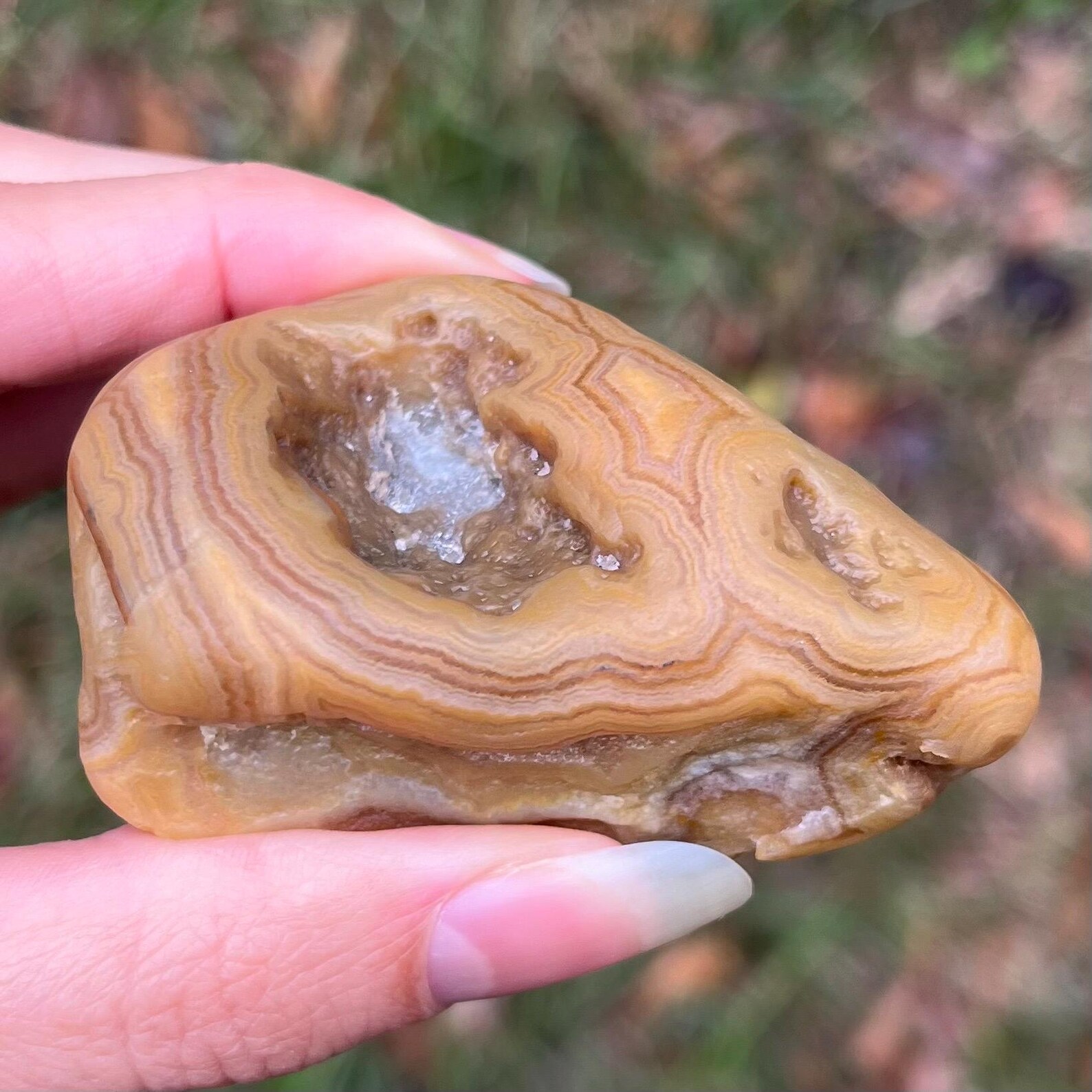 Crowley Ridge Agate - Etsy