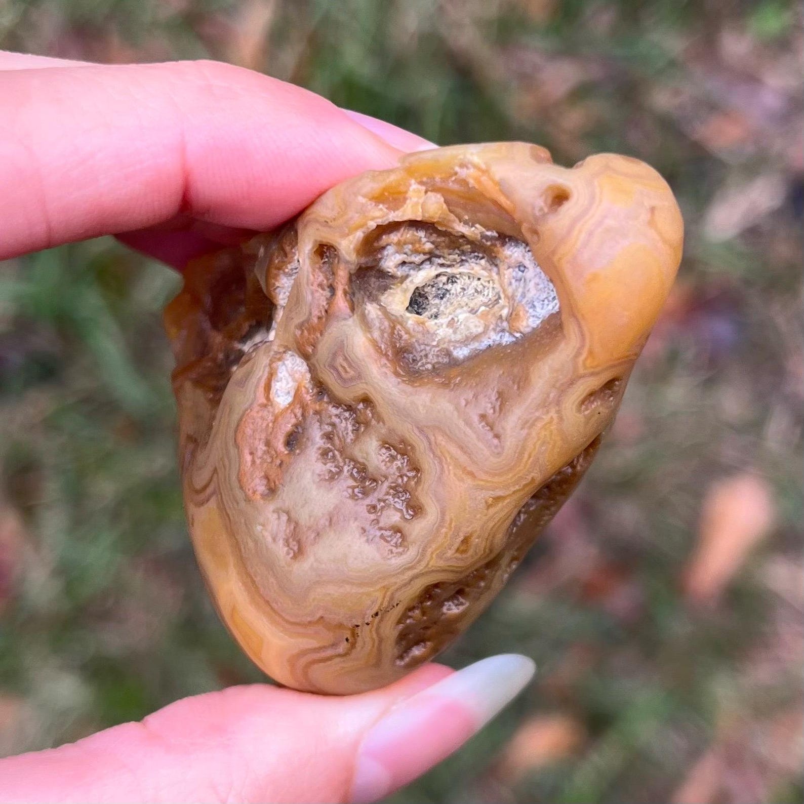 Crowley Ridge Agate - Etsy