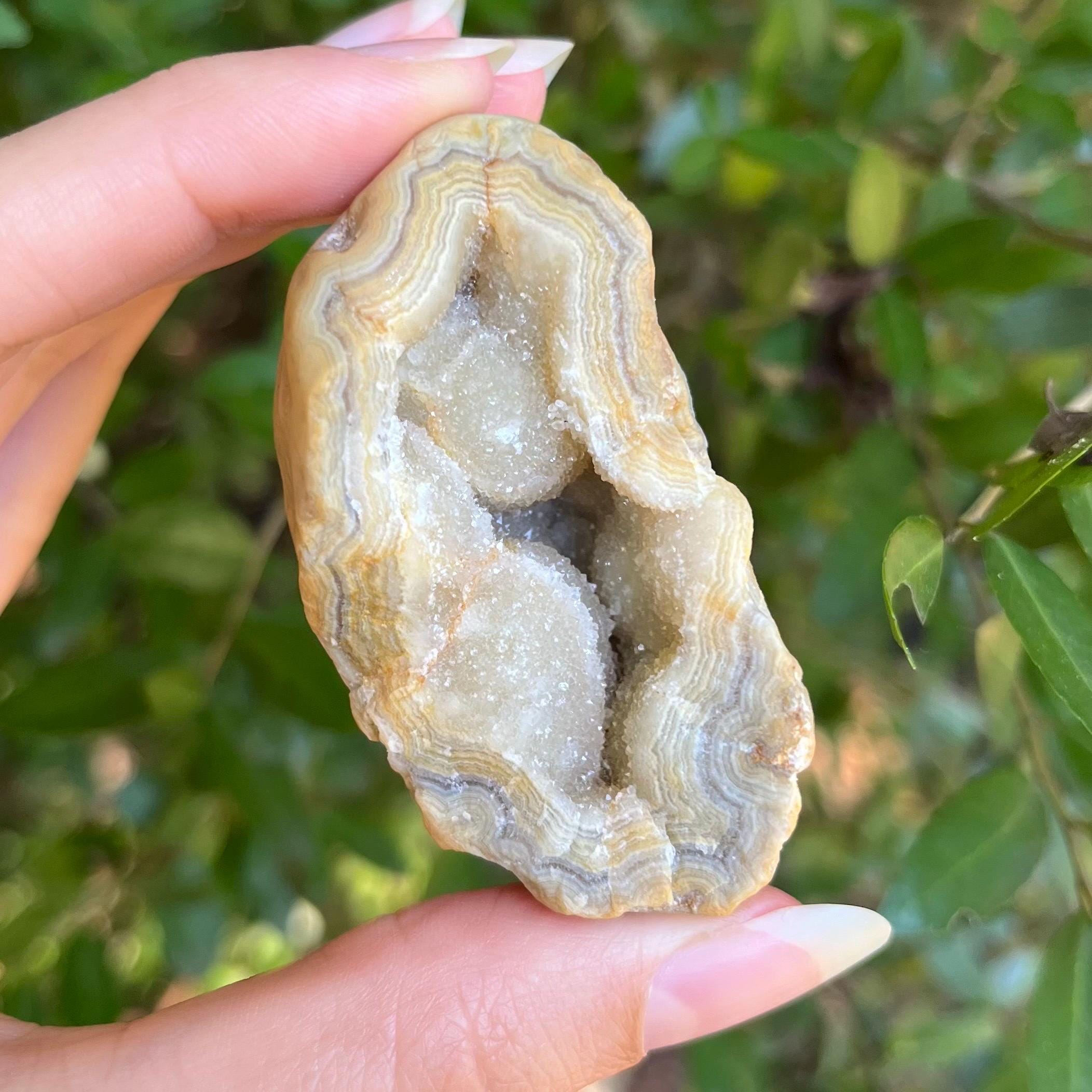 Crowley Ridge Agate Geode - Etsy
