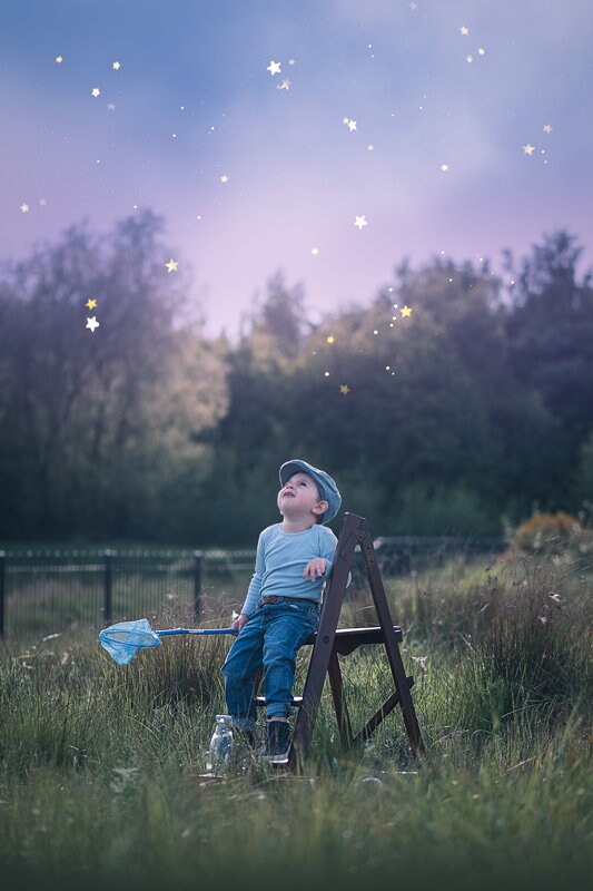 Night Ladder DIGITAL BACKGROUND Fireflies, Glitter, Dust, Magical Scene ...