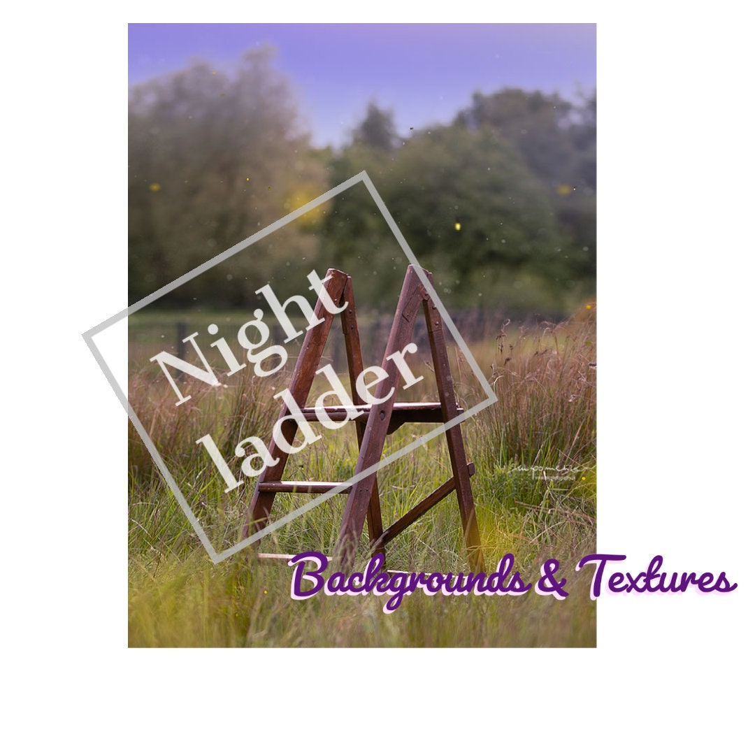 Night Ladder DIGITAL BACKGROUND Fireflies, Glitter, Dust, Magical Scene ...