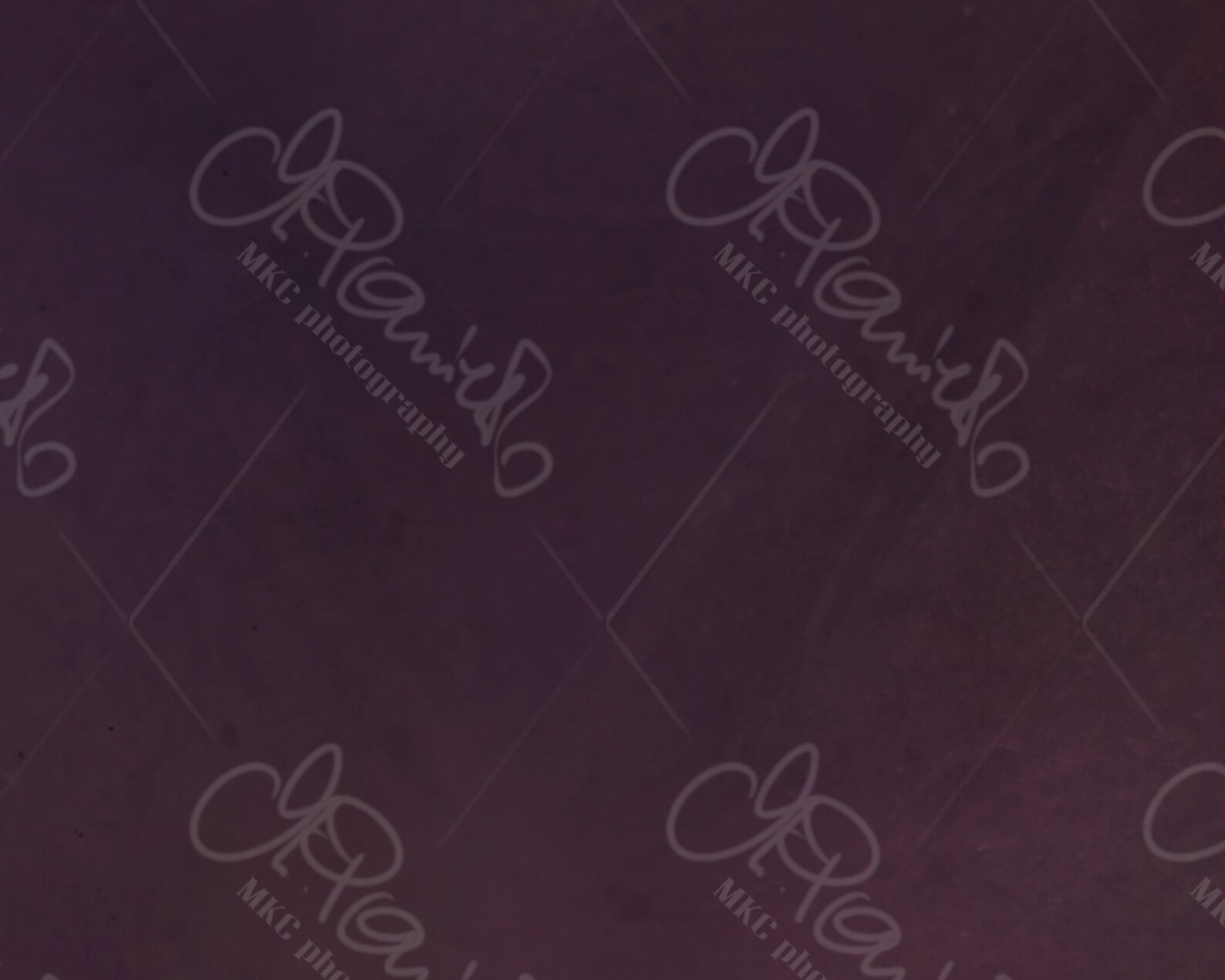 BUNDLE OF 3 DIGITAL Backgrounds, Fine Art, Portaiture, Studio, Outdoor ...