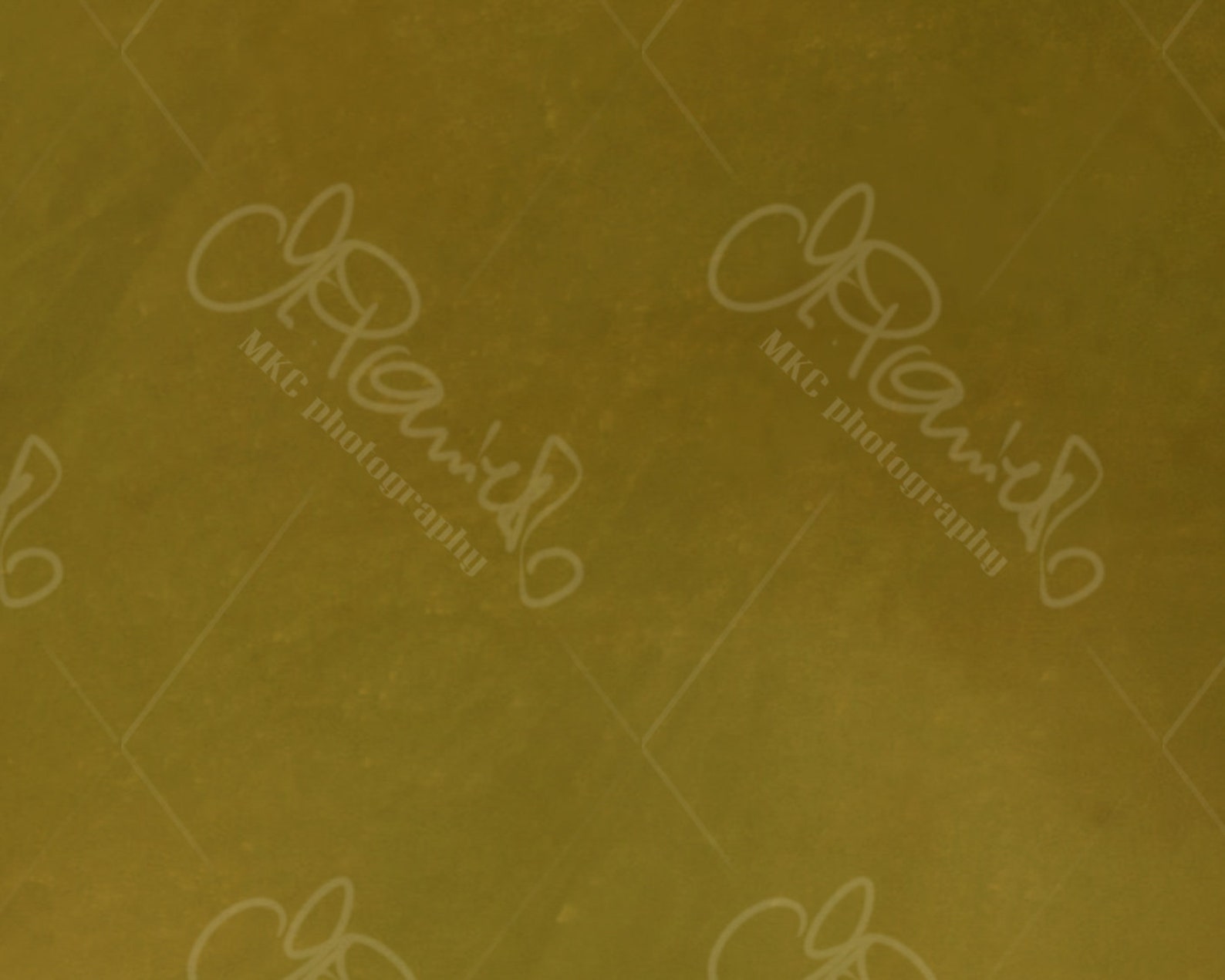 BUNDLE OF 3 DIGITAL Backgrounds, Fine Art, Painterly, Portaiture ...
