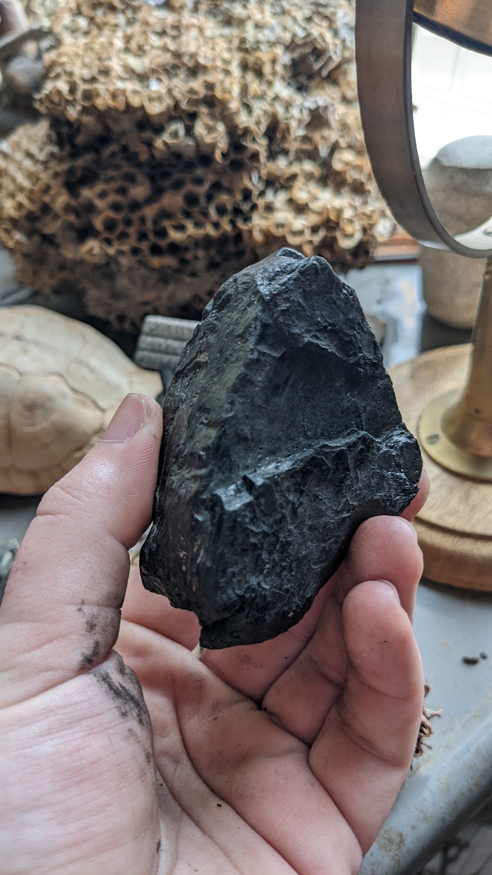 Large Lump of Coal - Etsy