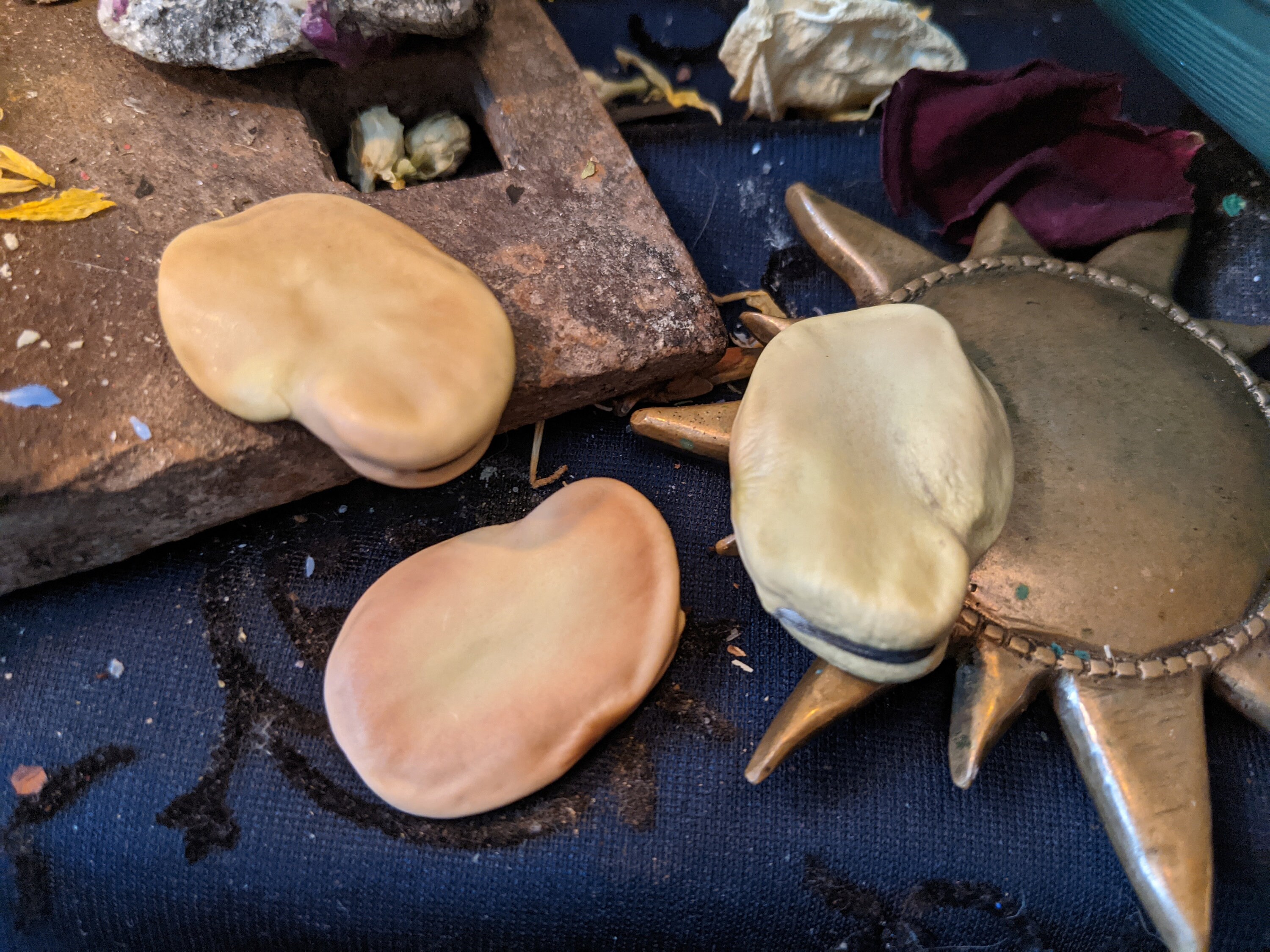 GIANT Wishing Beans HUGE Mojo Beans Pack of Three - Etsy