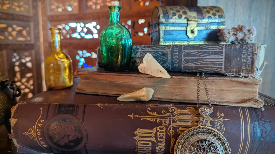 Deer Hoof Core - Hoof Bone - Deer Foot - Natural Curio - Altar Talisman ...