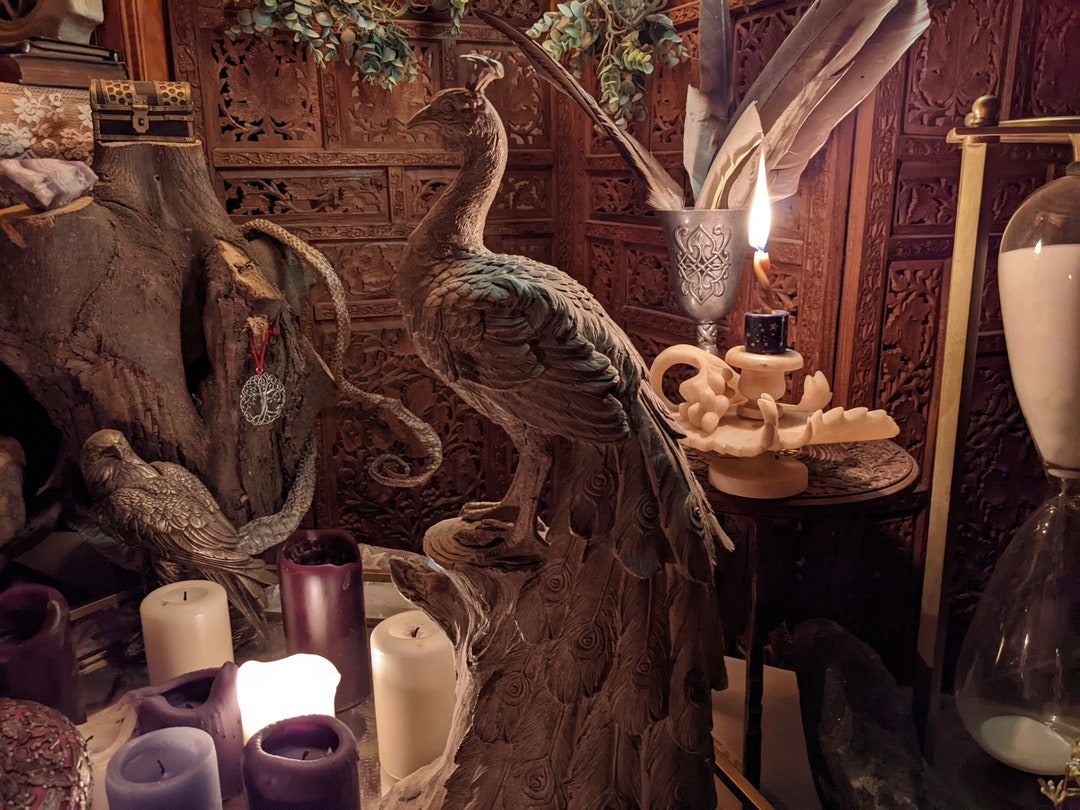Phoenix Reading - Determine Your Connection or History With Phoenixes ...