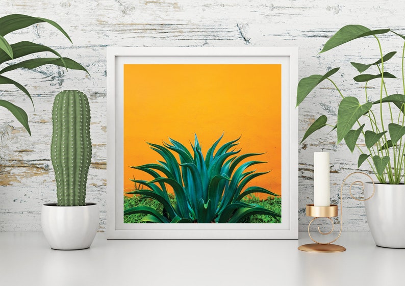 Bespoke Bright Orange Plant Botanical Nature Photography Print Wall Art ...