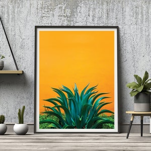 Bespoke Bright Orange Plant Botanical Nature Photography Print Wall Art ...