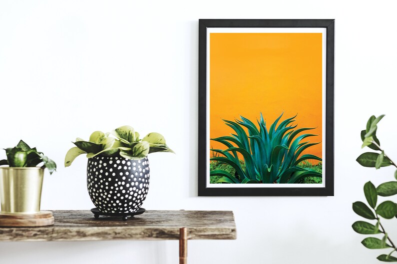 Bespoke Bright Orange Plant Botanical Nature Photography Print Wall Art ...