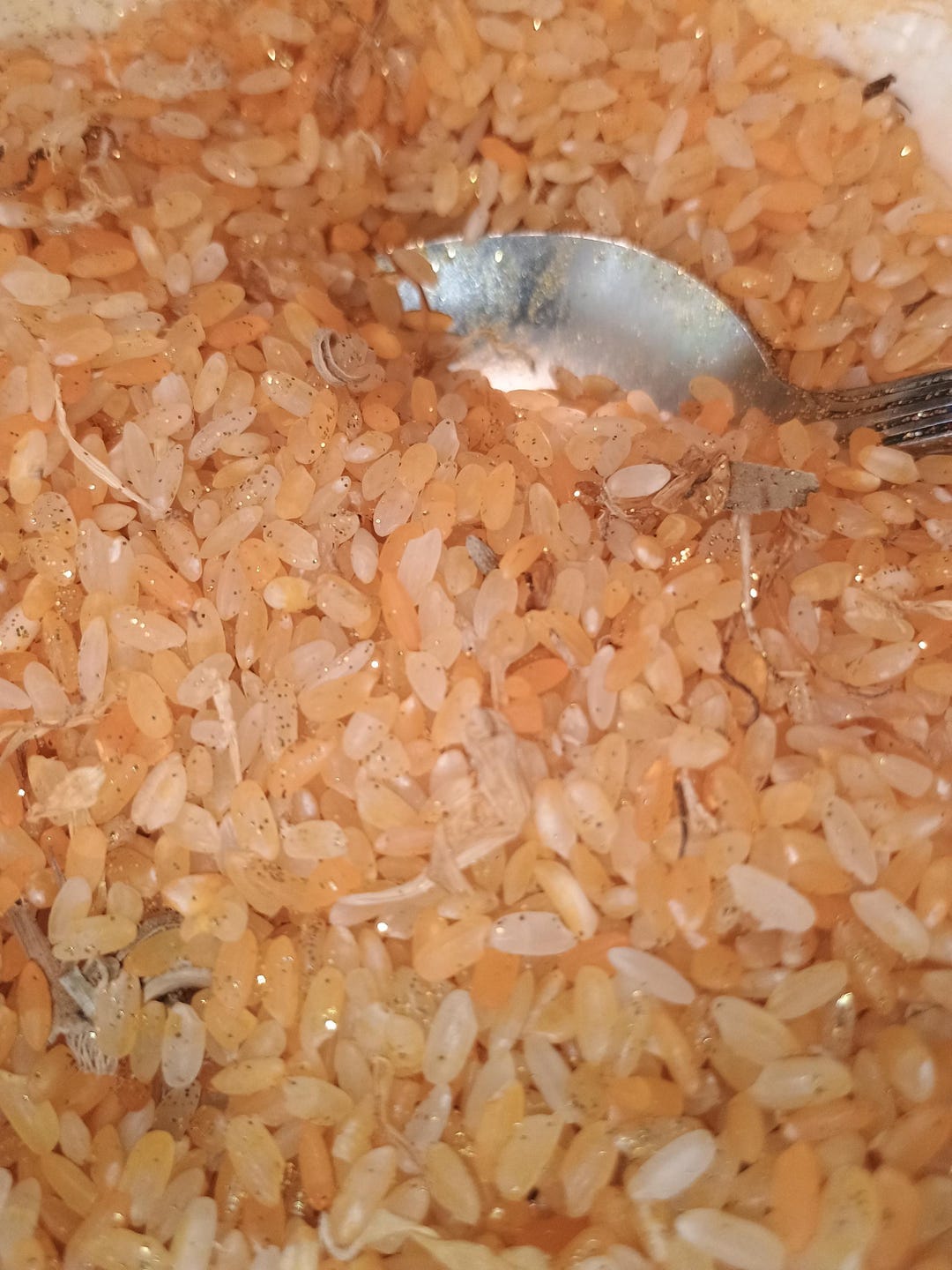 Yellow Hoodoo/american Folk Magic RICE With Calendula (A Real Hoodoo ...