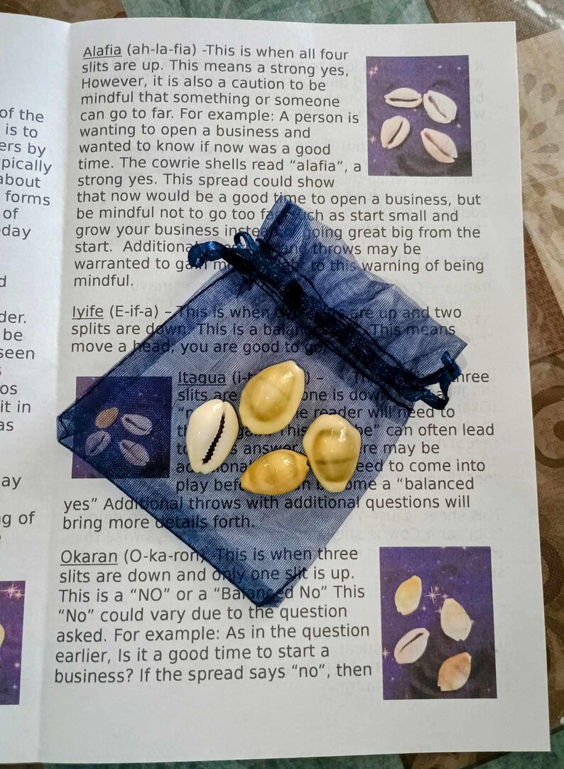 Guide to the Art of OBI (cowrie Shells Casting) Divination — Digital ...