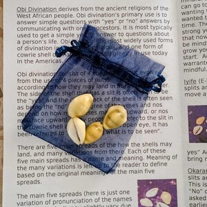 OBI Divination (cowie Shells) Guide to the Art Of - Etsy