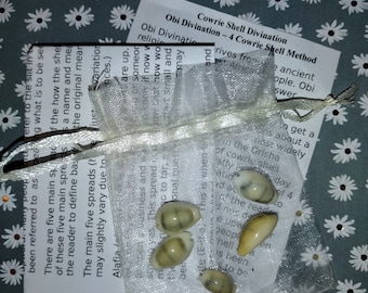 Obi Divination With 4 Cowrie Shells and Instructions - Etsy